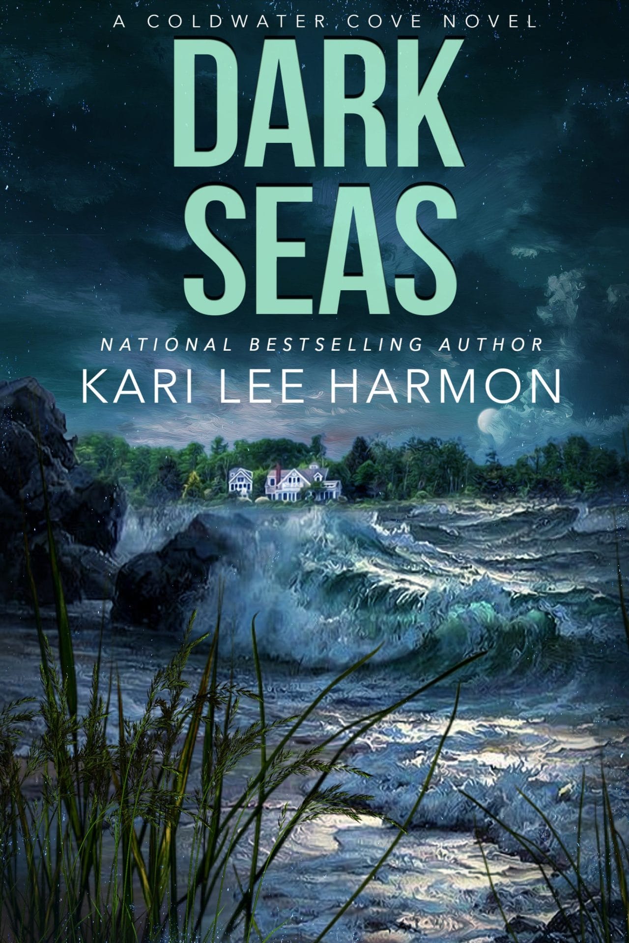 dark seas copy | Oliver-Heber Books